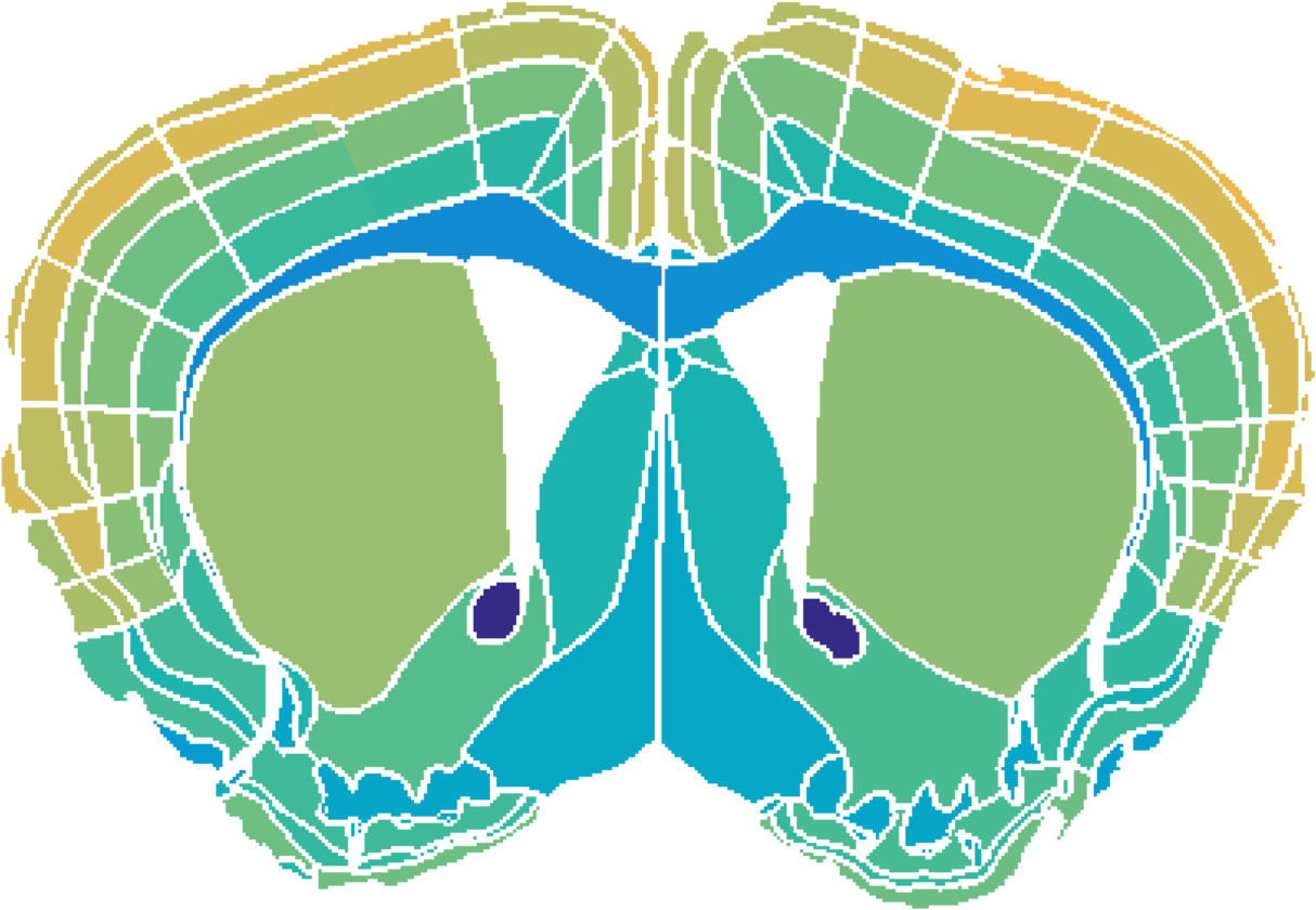 The Mouse Brain Synaptome Atlas